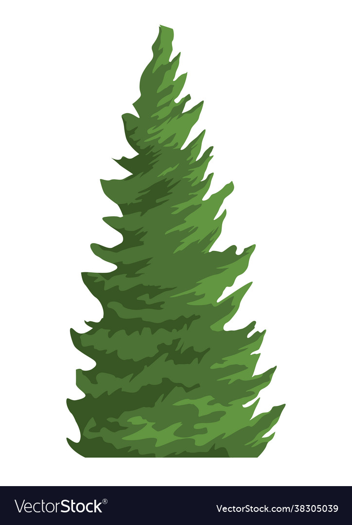 Green pine tree Royalty Free Vector Image - VectorStock