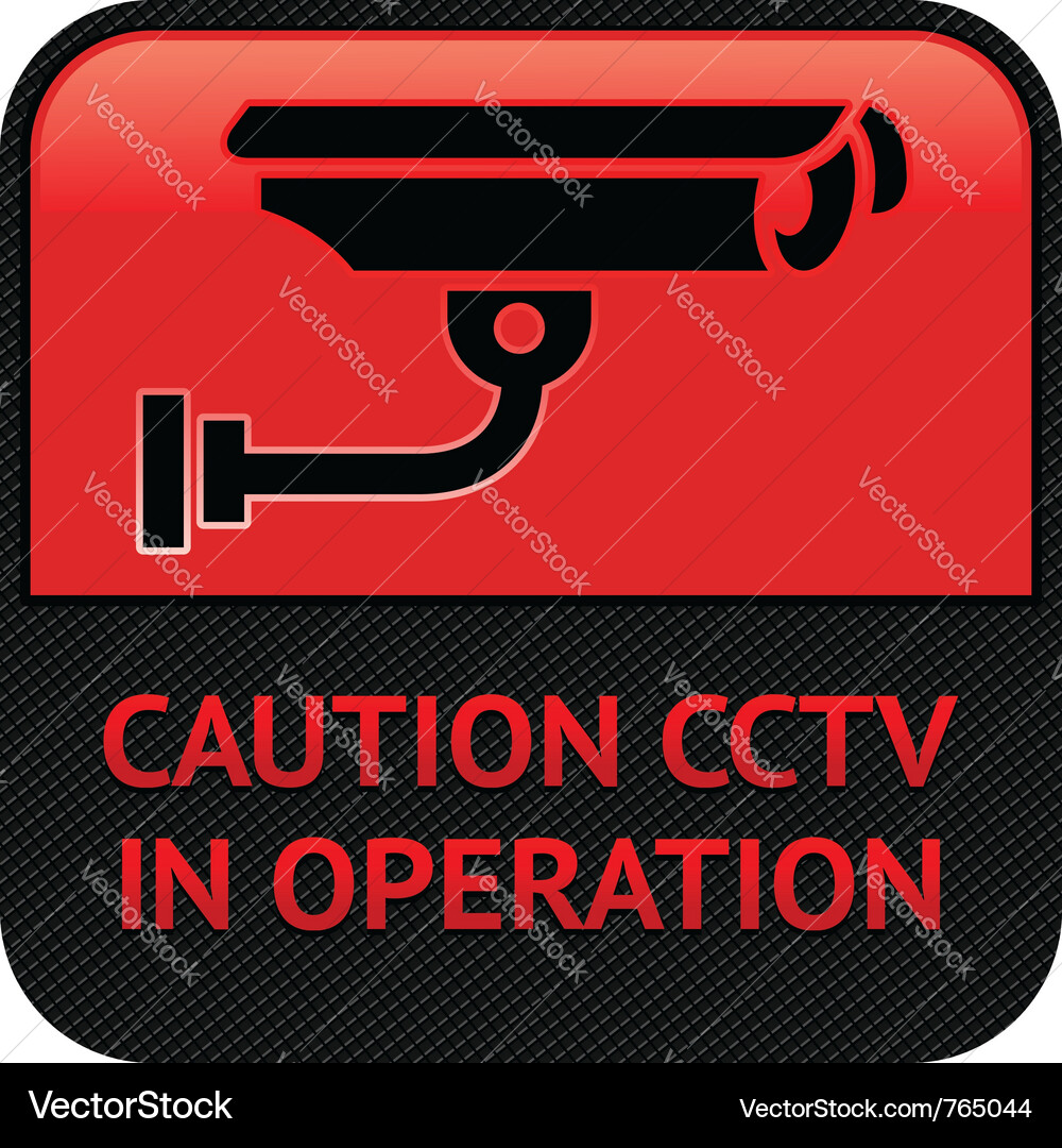 Cctv surveillance symbol Royalty Free Vector Image