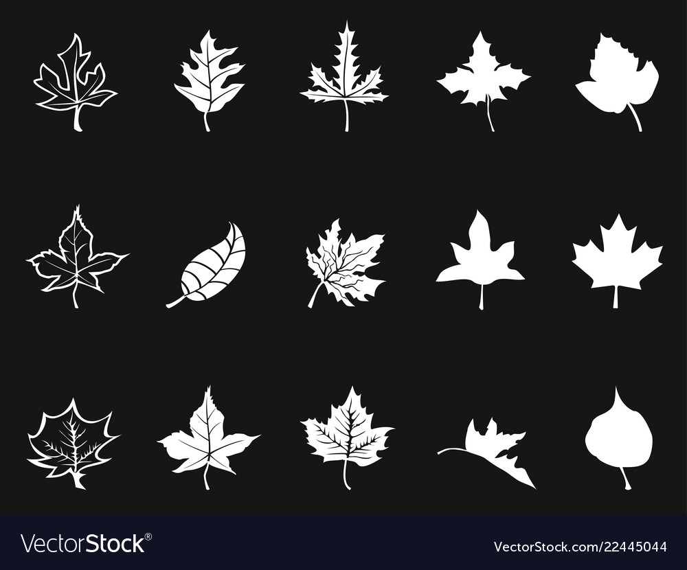 White maple icons on black background Royalty Free Vector