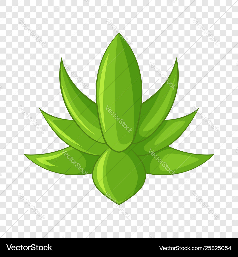 Big agave icon cartoon style Royalty Free Vector Image