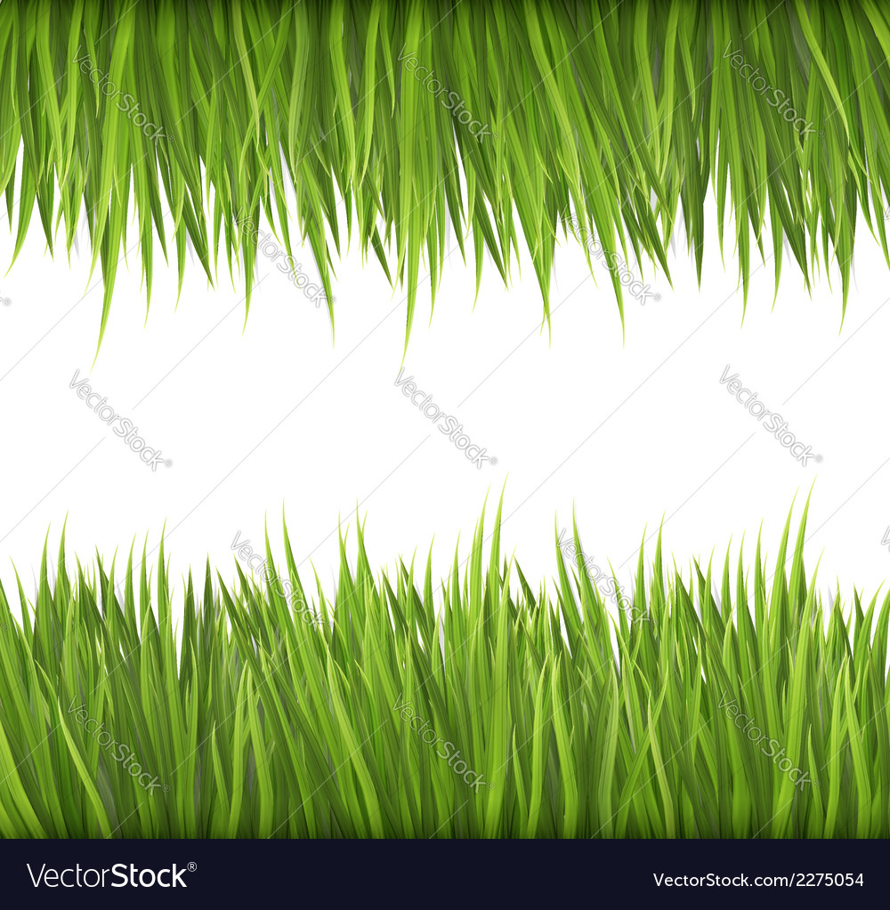 Nature background with green grass Royalty Free Vector Image