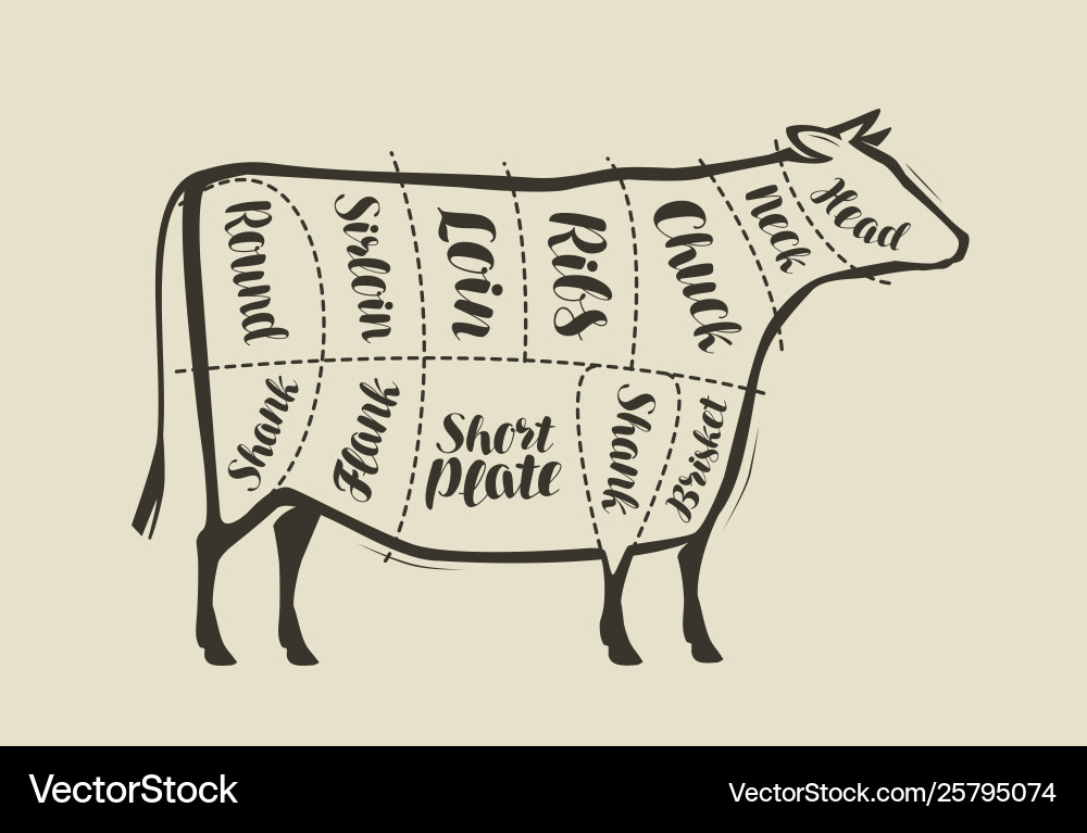 Cut beef meat menu for restaurant or butcher Vector Image