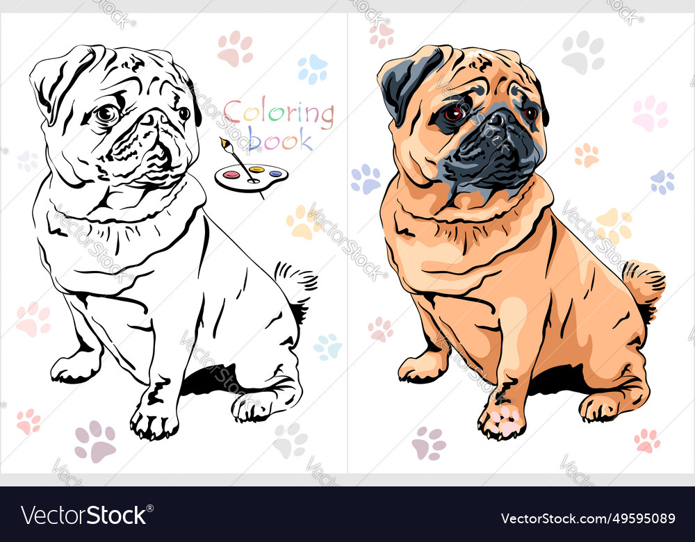 Coloring book page cute dog pug breed Royalty Free Vector