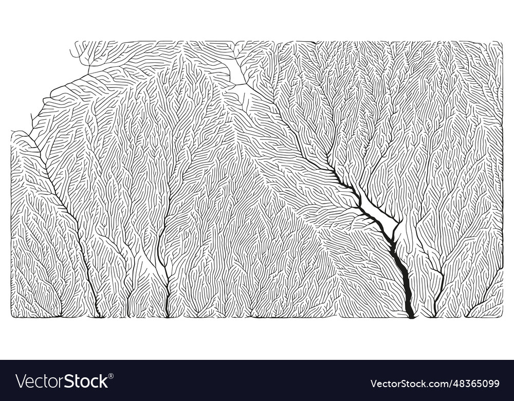 Growth Pattern Generative Branching Structure Vector Image