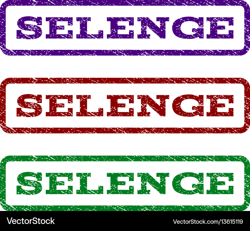 Selenge watermark stamp Royalty Free Vector Image