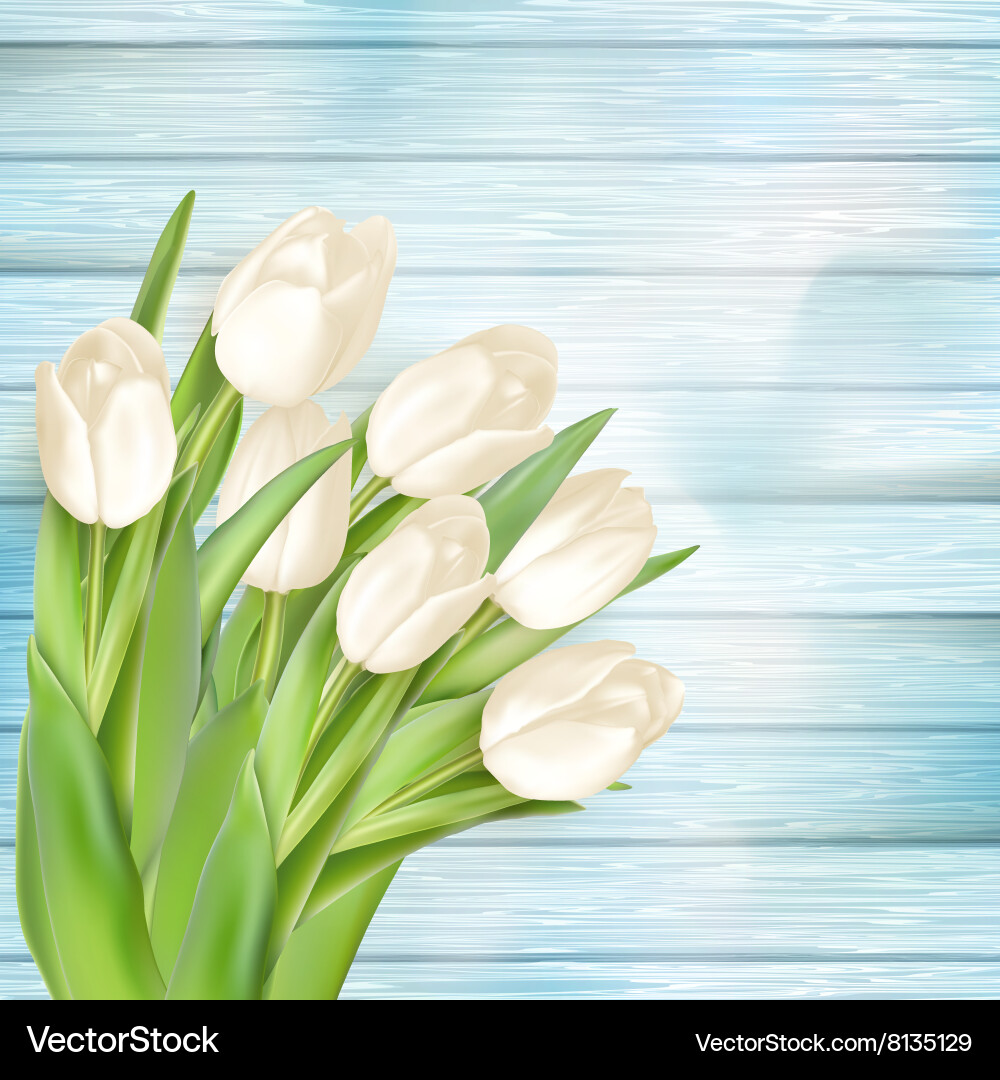 Bouquet white tulips eps 10 Royalty Free Vector Image