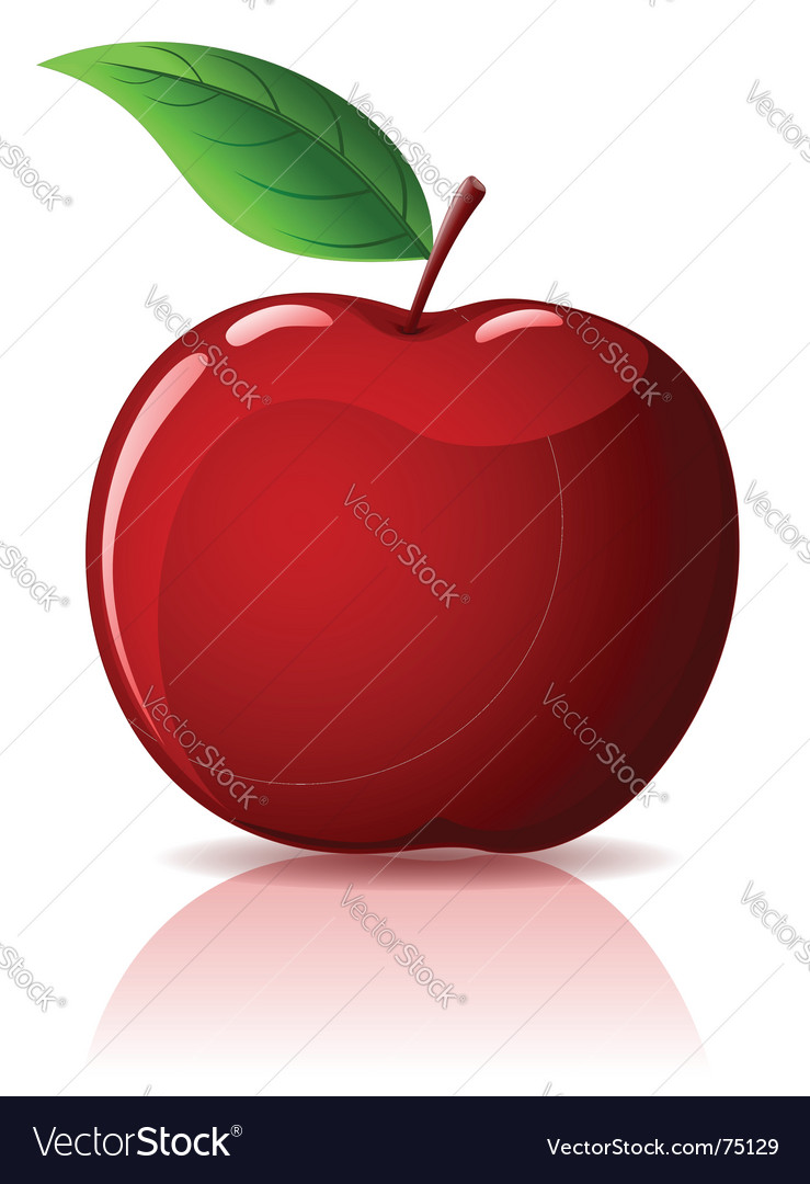 Red apple Royalty Free Vector Image - VectorStock