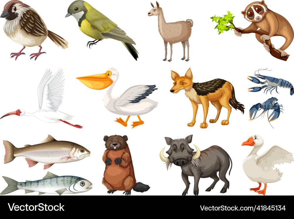 Different kinds of animals collection Royalty Free Vector