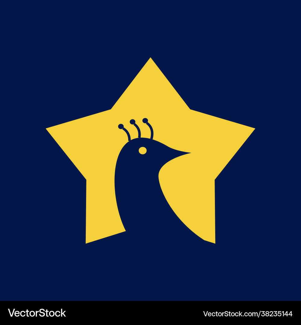 Peacock star logo Royalty Free Vector Image - VectorStock