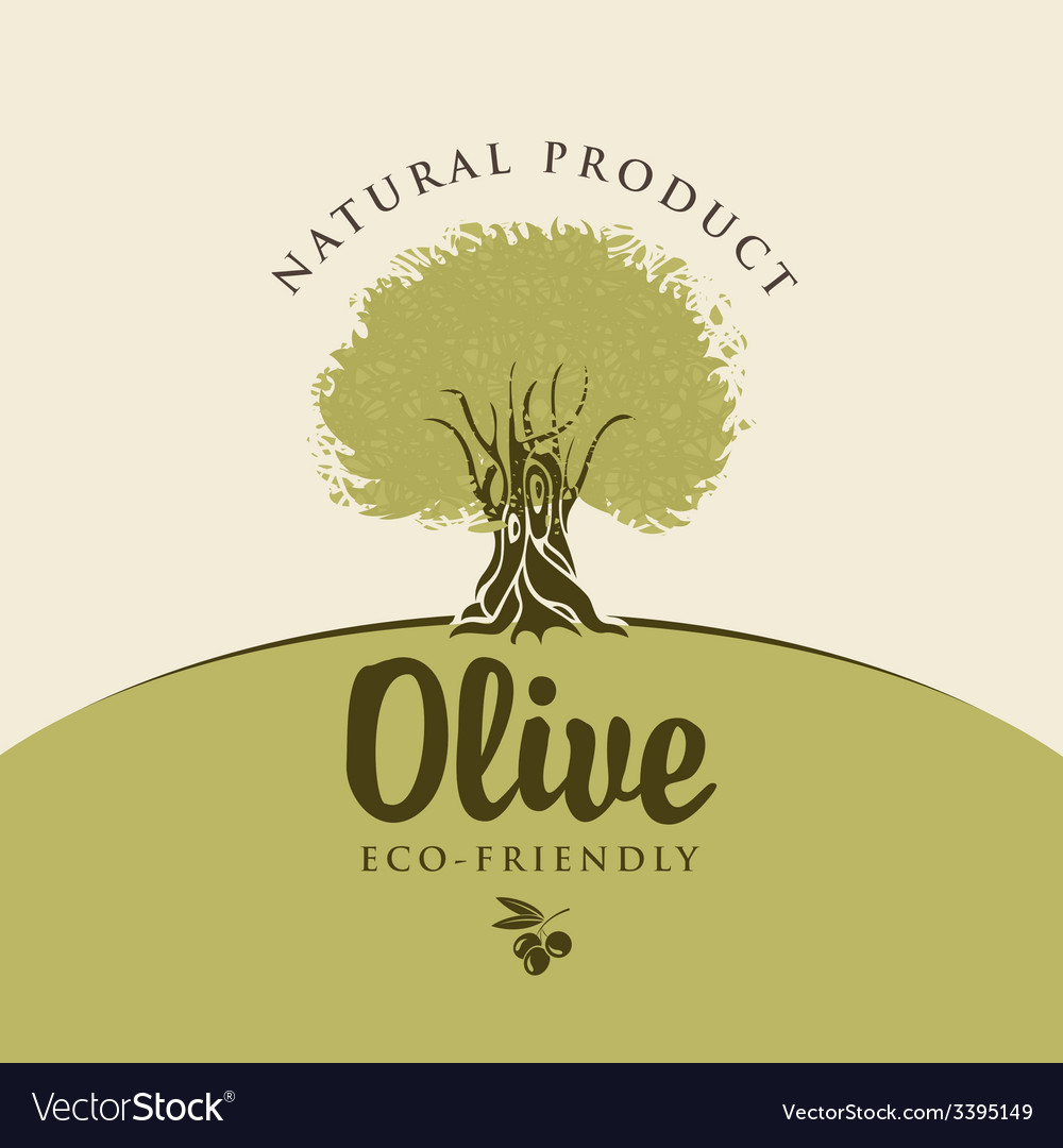 Olive tree Royalty Free Vector Image - VectorStock