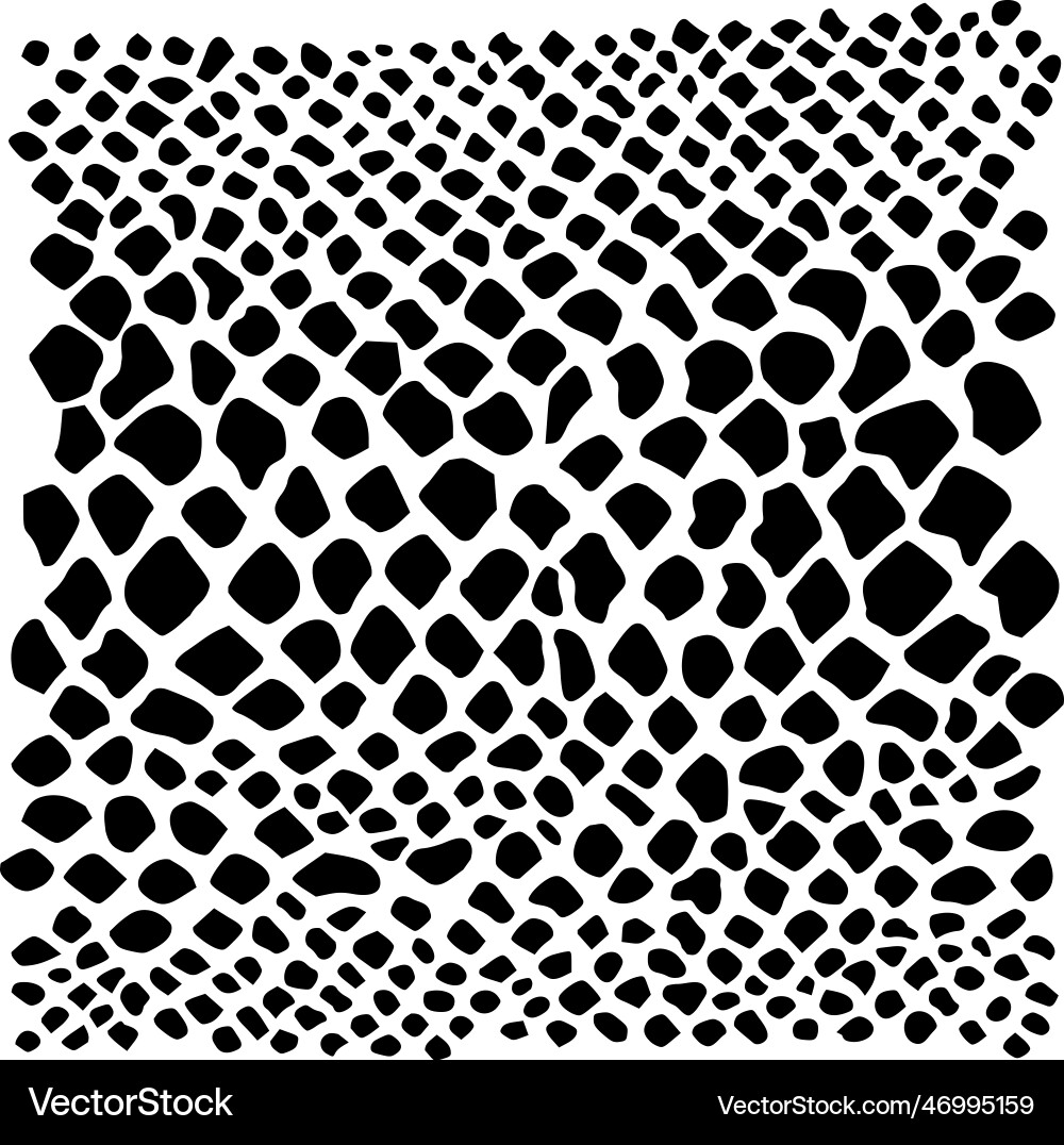 Animal print image Royalty Free Vector Image - VectorStock
