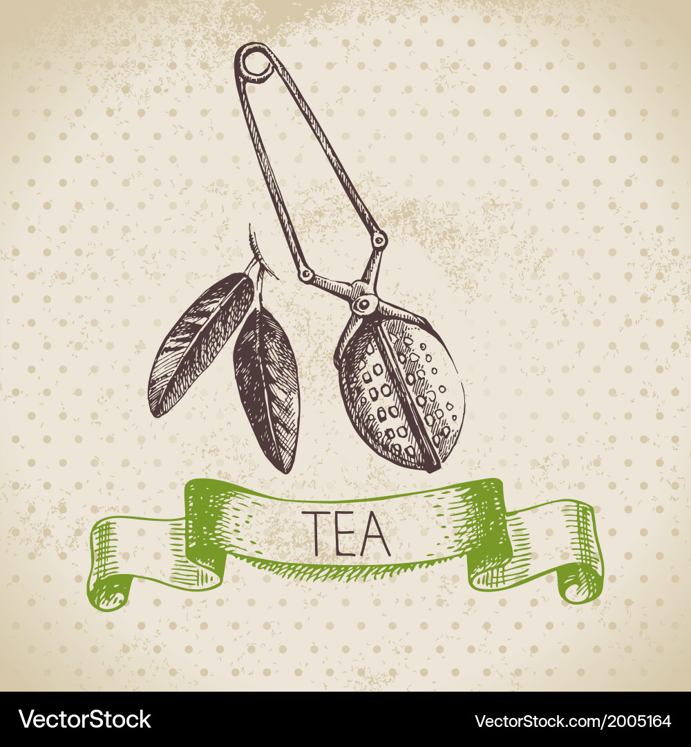 Tea Vintage Background Royalty Free Vector Image