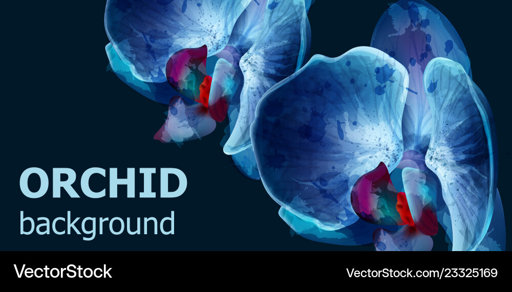 Blue orchids watercolor background banner Vector Image