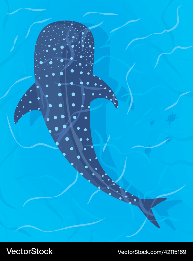 Shark in ocean Royalty Free Vector Image - VectorStock