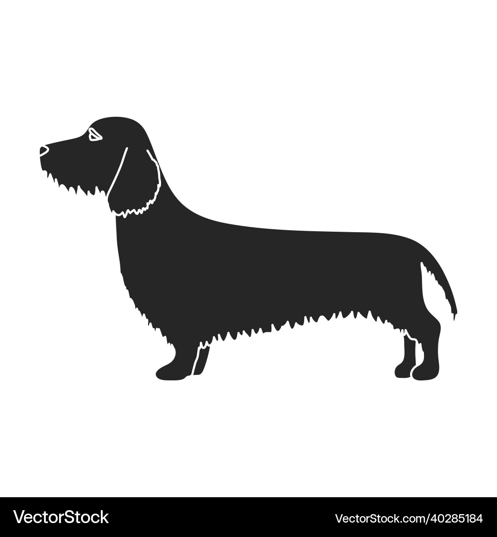 Dachshund iconblack icon isolated Royalty Free Vector Image