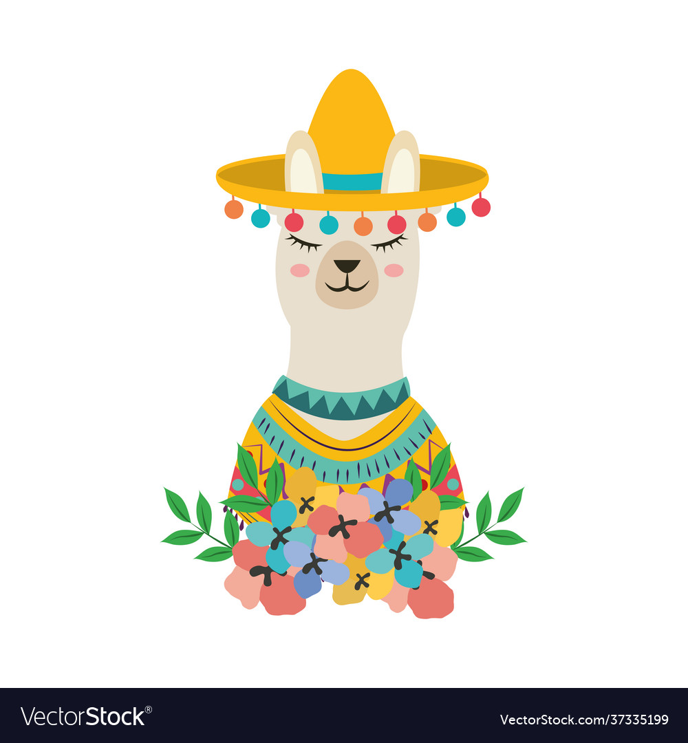 Llama hat flowers Royalty Free Vector Image - VectorStock