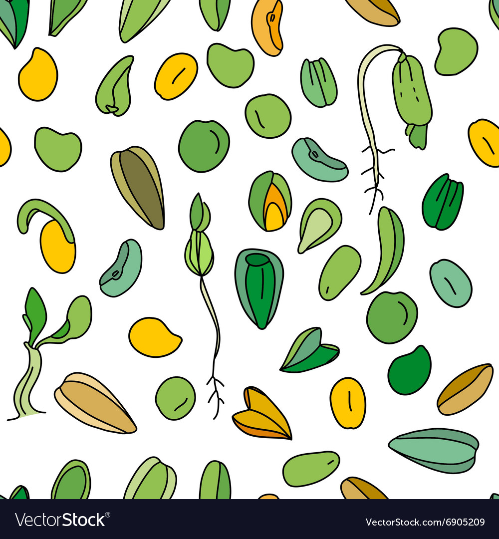Seamless pattern with different seeds endless Vector Image