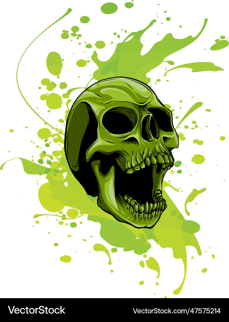Colored draw of human skull Royalty Free Vector Image