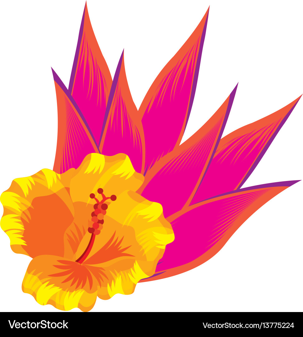 Exotic and tropical flower icon Royalty Free Vector Image