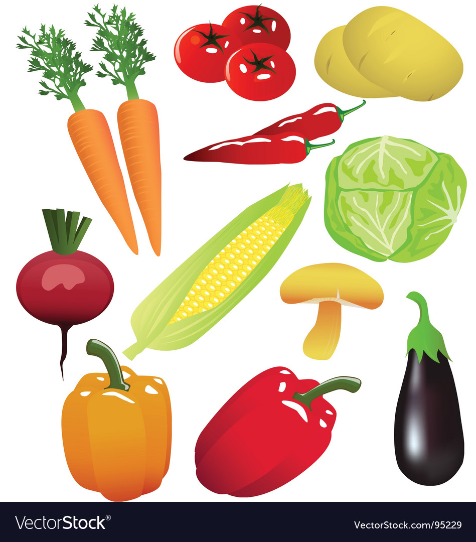 Assorted Vegetables Royalty Free Vector Image - VectorStock