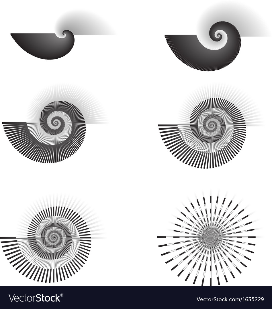 Shell swirl Royalty Free Vector Image - VectorStock