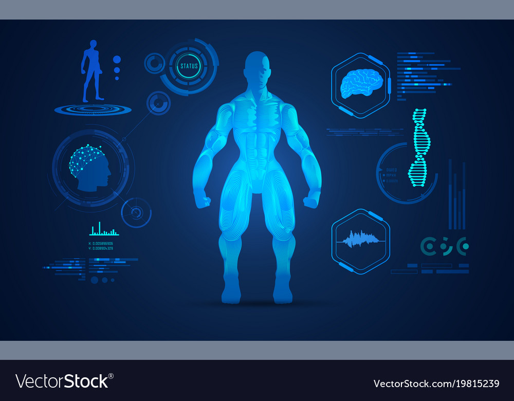 Muscle man Royalty Free Vector Image - VectorStock