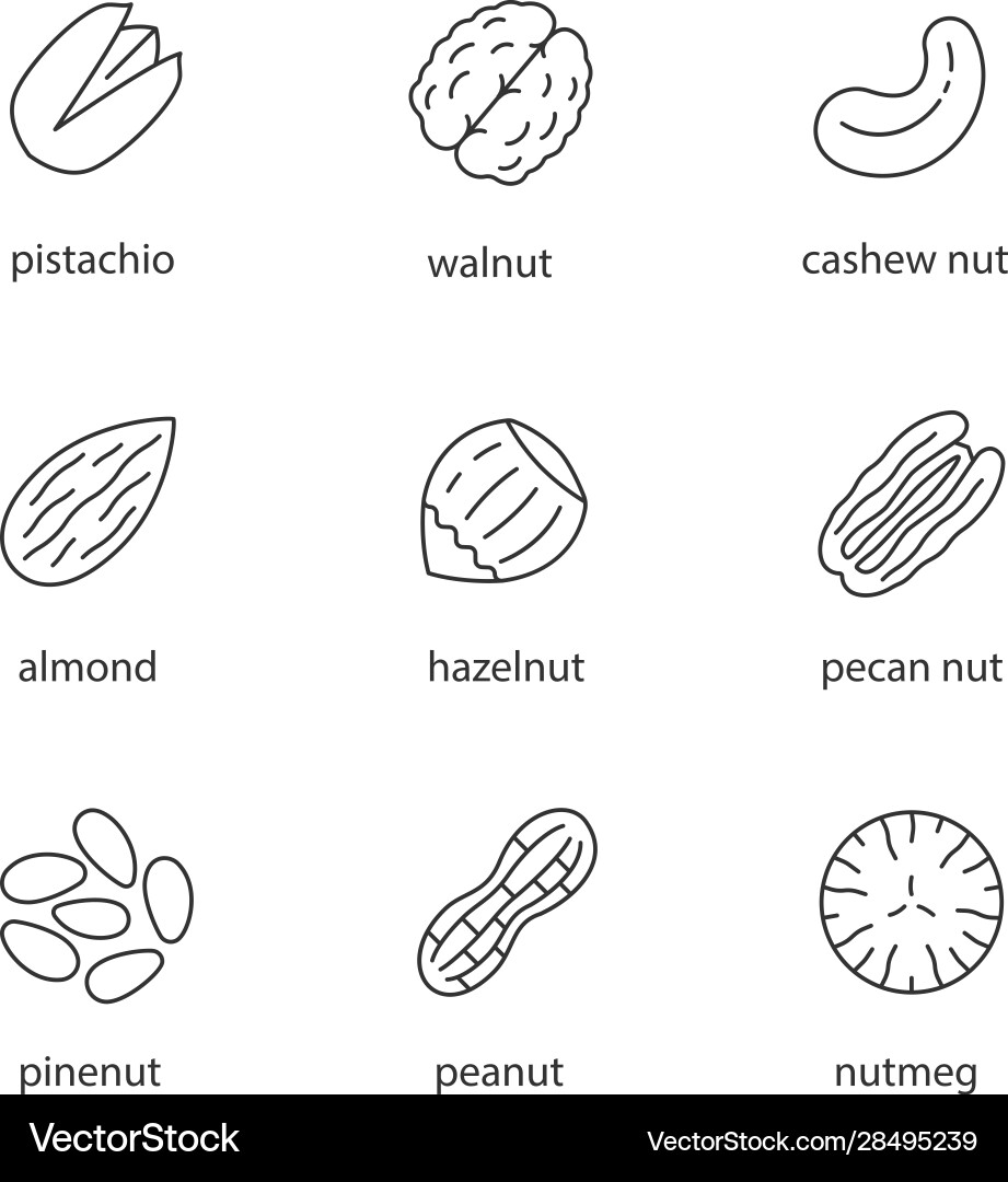 Nuts types linear icons set Royalty Free Vector Image