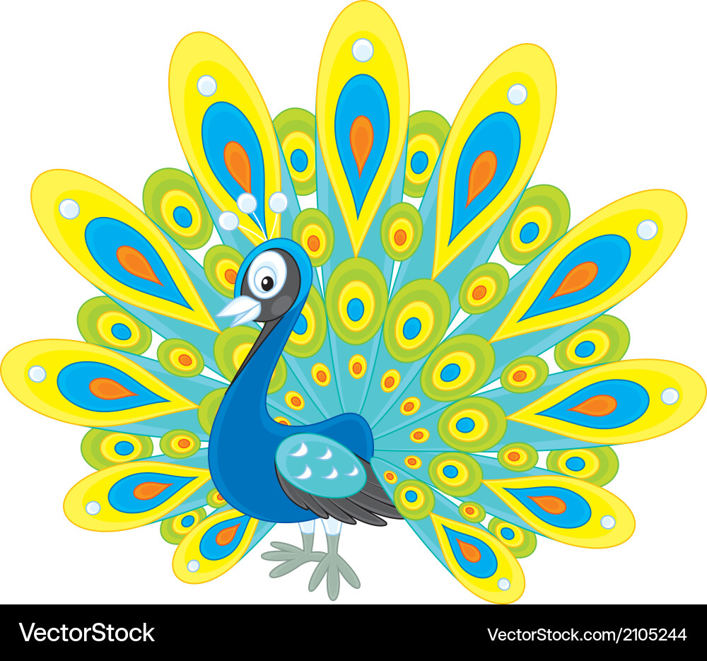 Peacock Royalty Free Vector Image - VectorStock