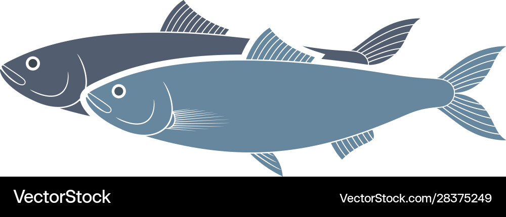 Herring Royalty Free Vector Image - VectorStock
