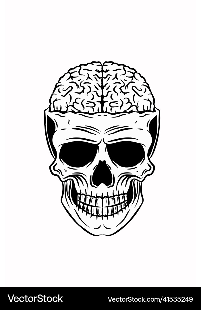 Human skull with brain Royalty Free Vector Image