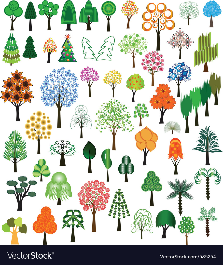 Set of trees Royalty Free Vector Image - VectorStock
