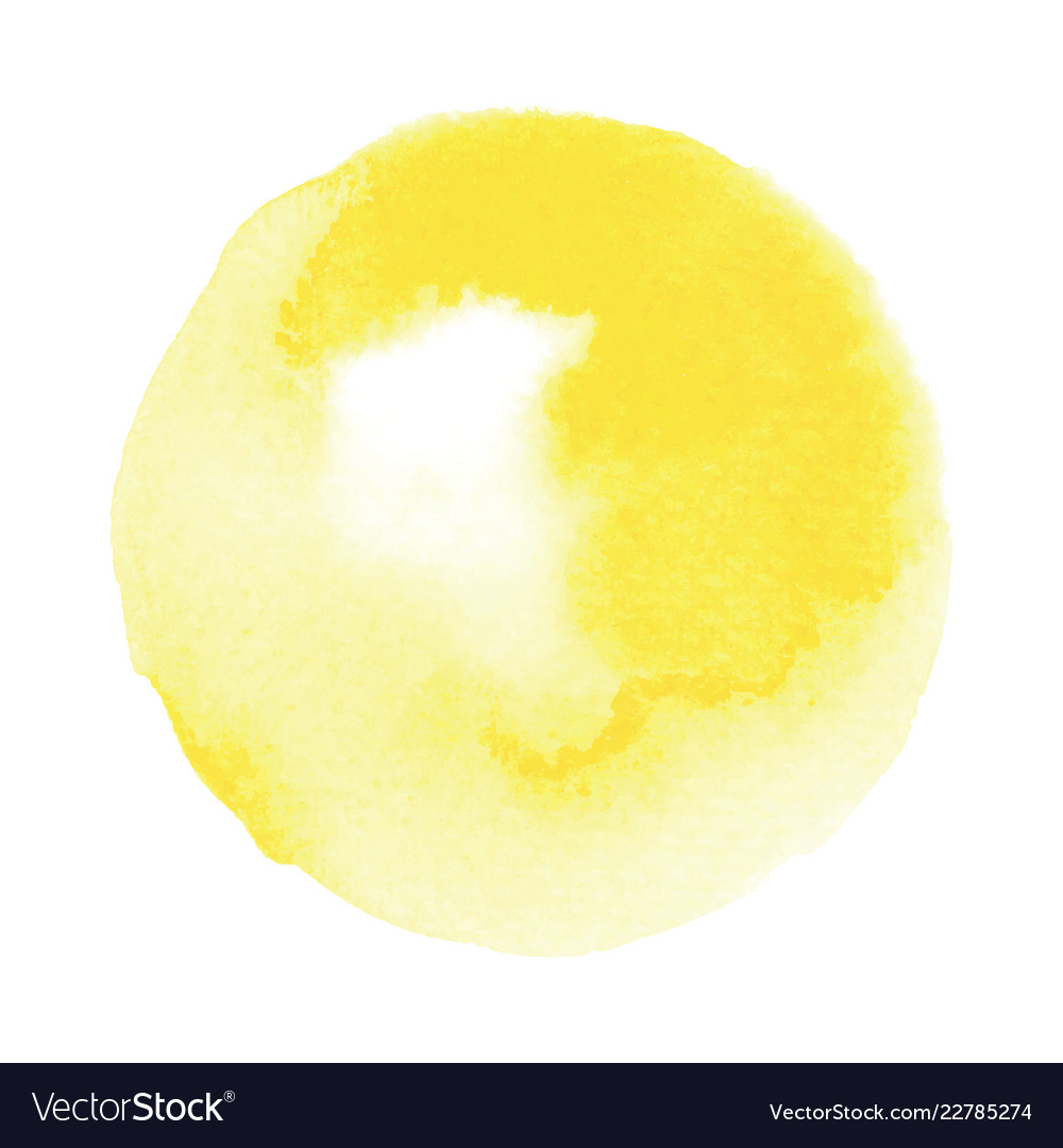 Abstract yellow round watercolor on white Vector Image