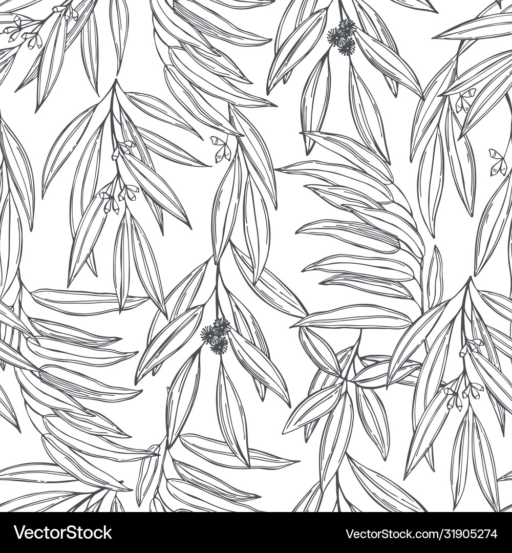 Hand drawn eucalyptus seamless pattern Royalty Free Vector