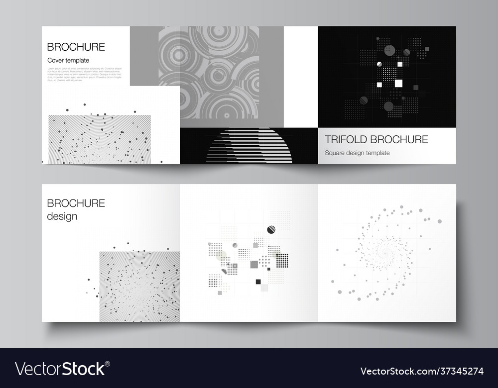 Layout square covers templates Royalty Free Vector Image
