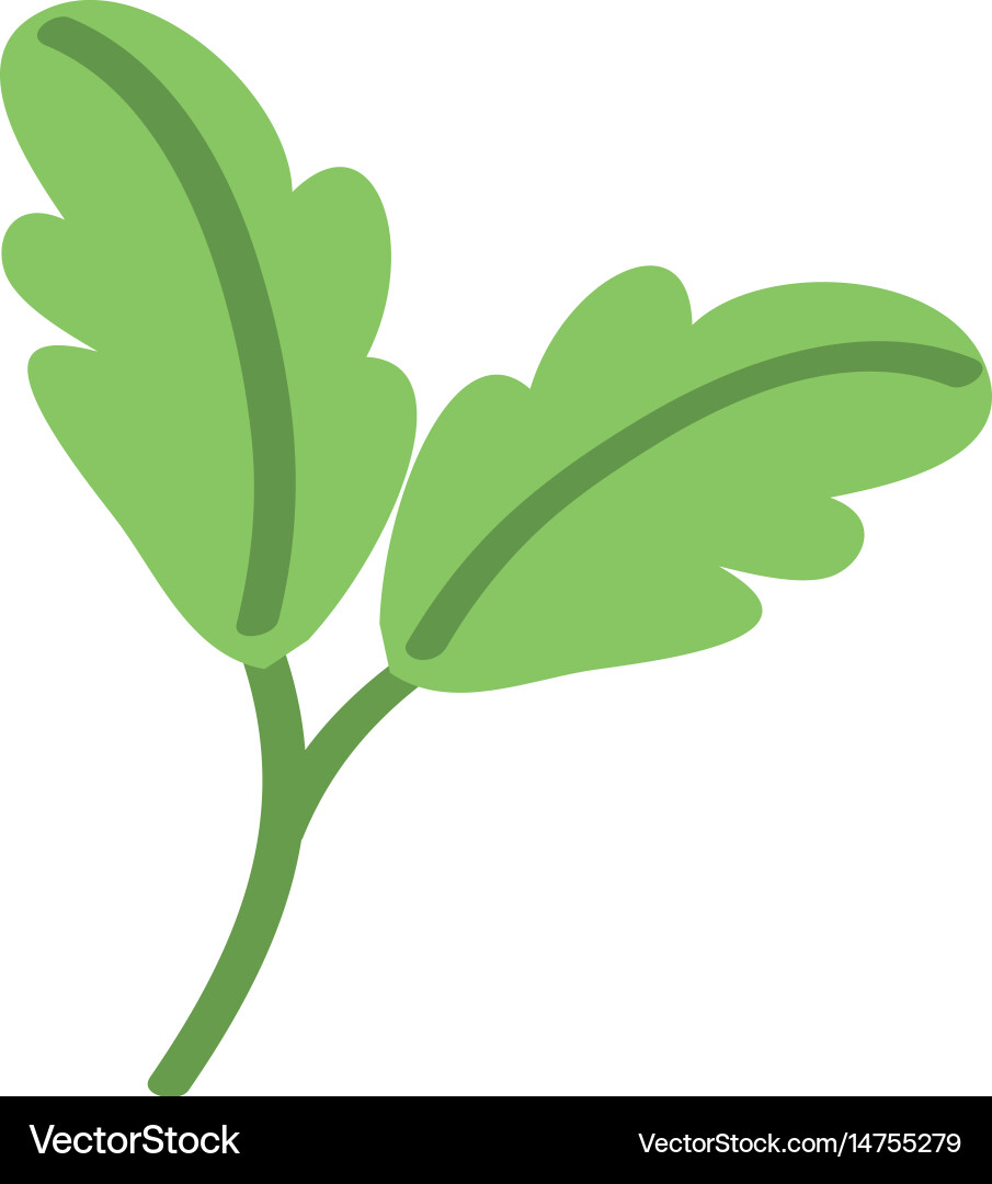 Leaves nature ecology Royalty Free Vector Image