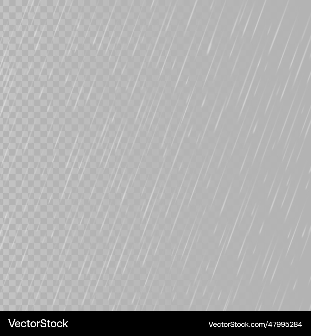 Rain drops on transparent background falling Vector Image
