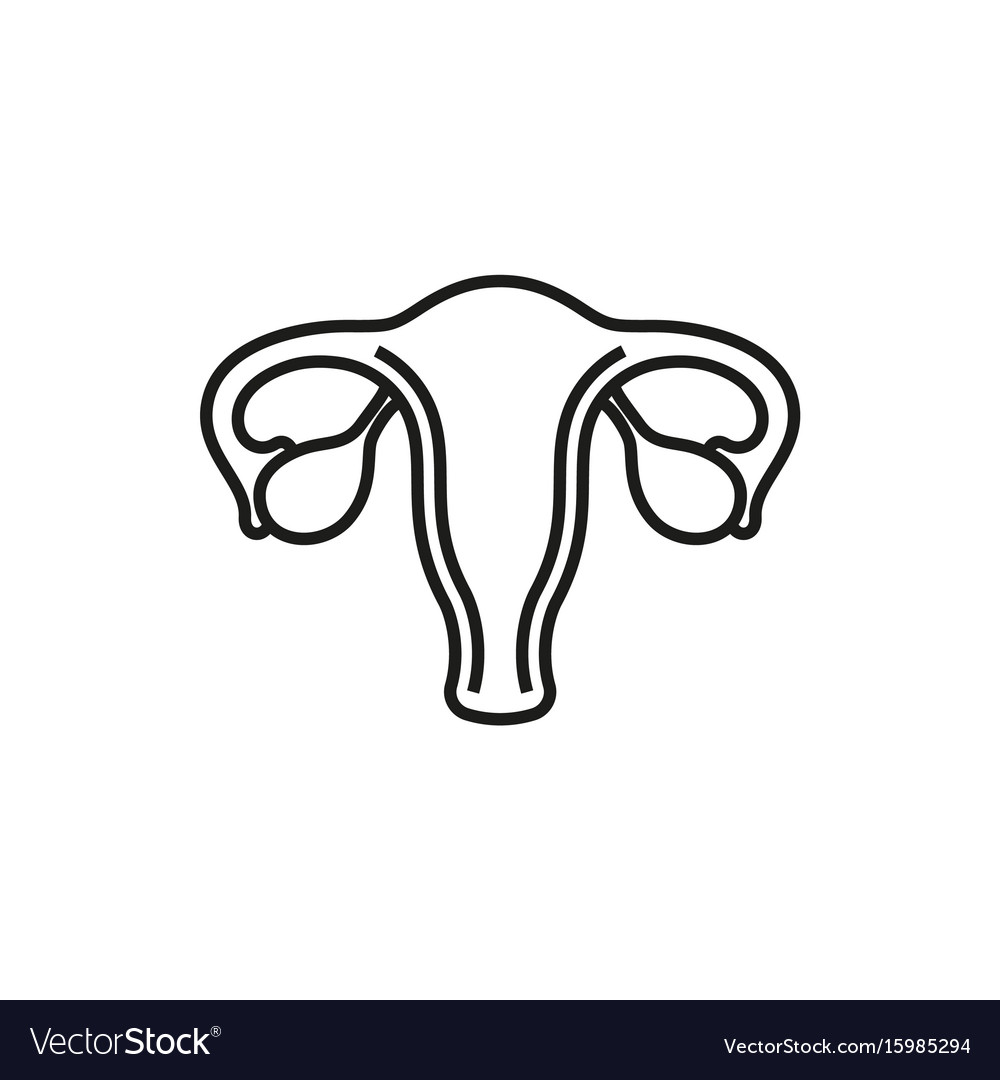 Female Reproductive System Icon Royalty Free Vector Image