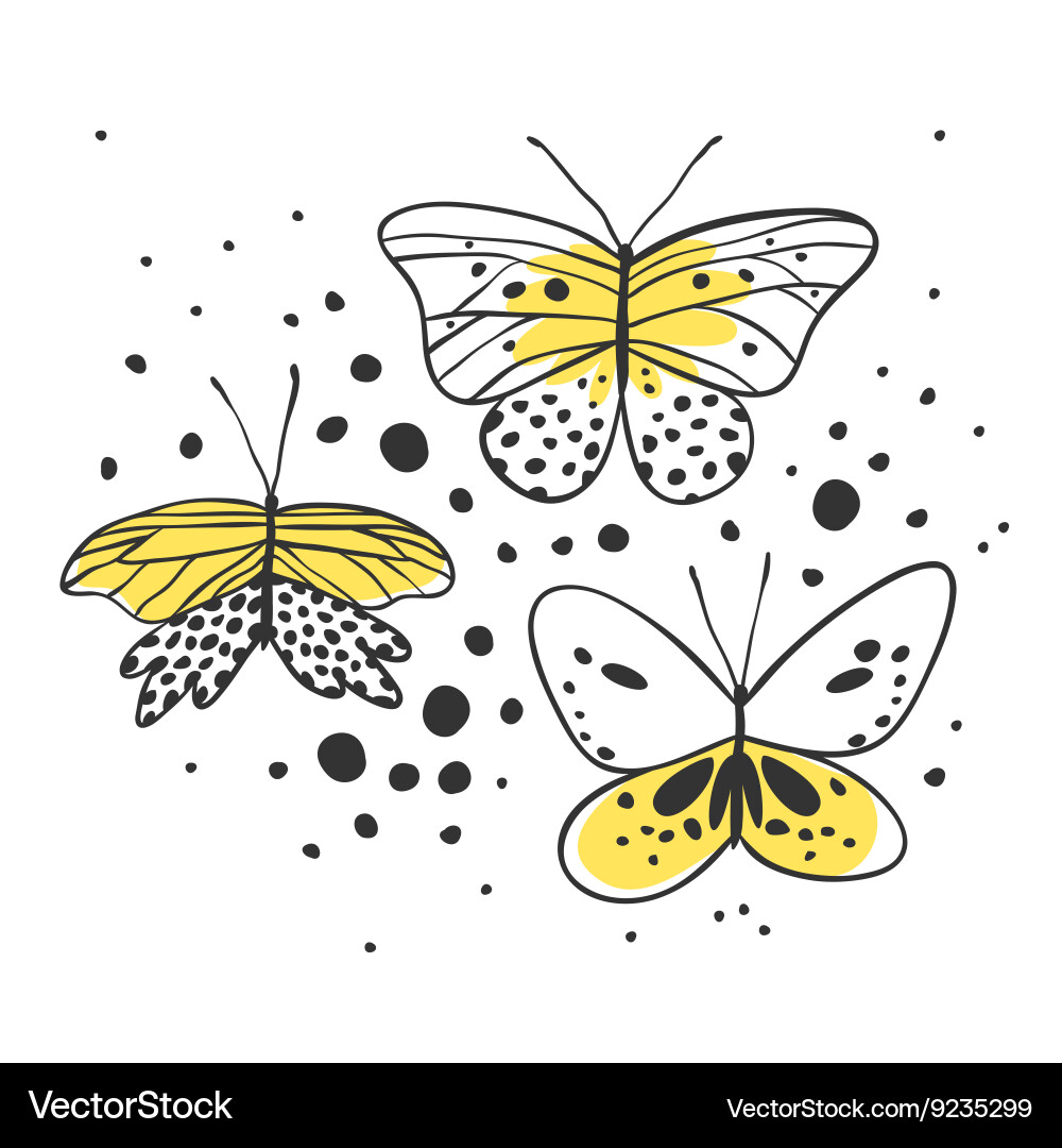 Set of butterfly hand drawn Royalty Free Vector Image