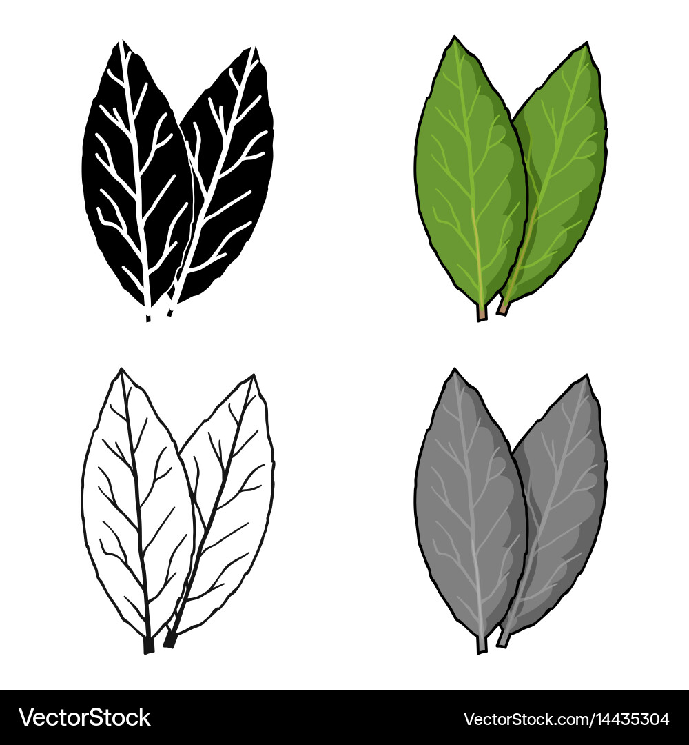 Laurus icon in cartoon style isolated on white Vector Image