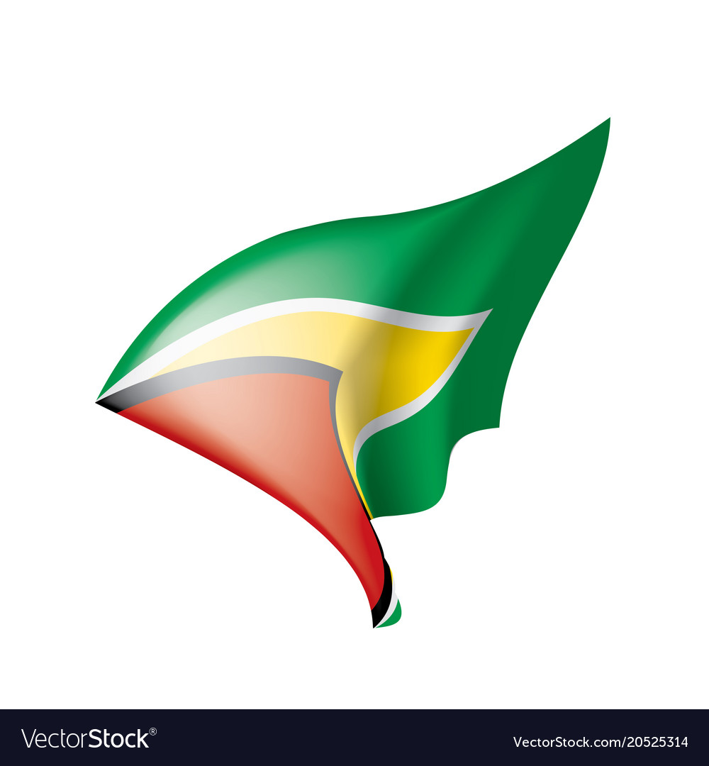 Guyana flag Royalty Free Vector Image - VectorStock