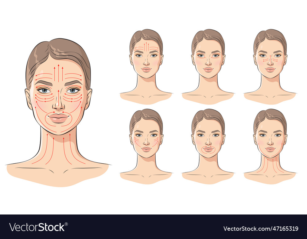 Face Massage Lines Facial Massage Instructions Vector Image