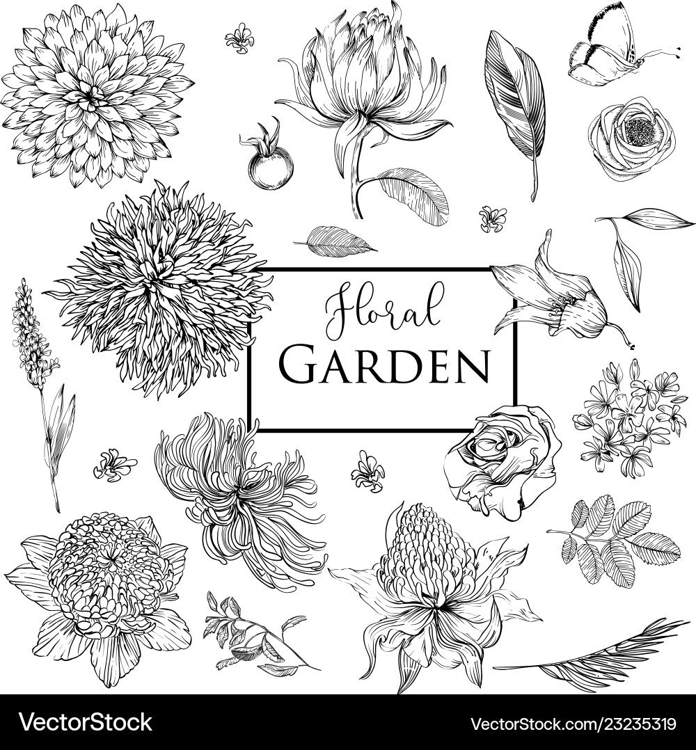 Floral garden collection Royalty Free Vector Image