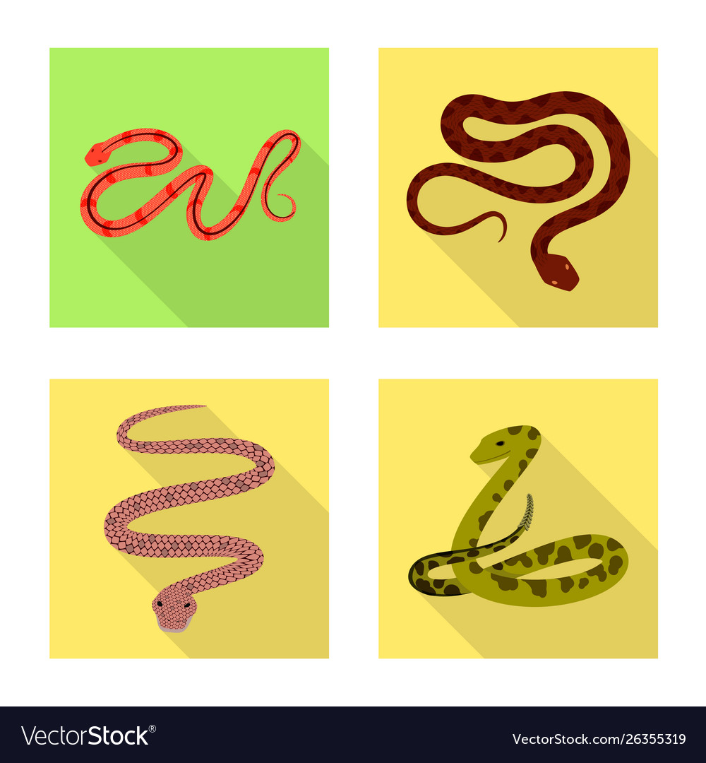 Skin and reptile symbol Royalty Free Vector Image