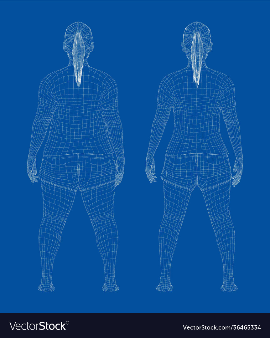 Fat And Slim Woman Before After Weight Loss Vector Image