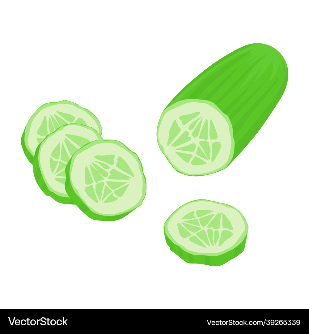 Green cucumber on a white background Royalty Free Vector