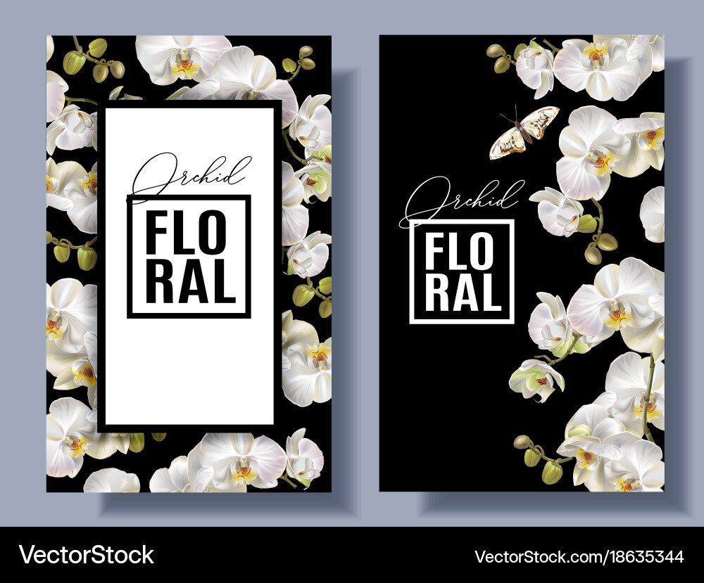 Floral orchid vertical banners Royalty Free Vector Image
