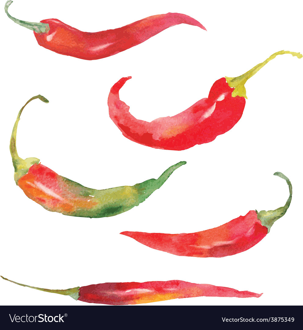 Pepper Royalty Free Vector Image - VectorStock