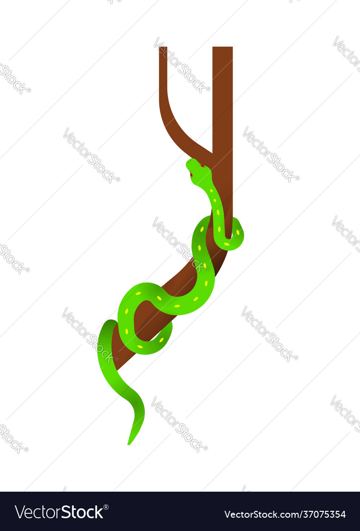Green snake animal isolated Royalty Free Vector Image