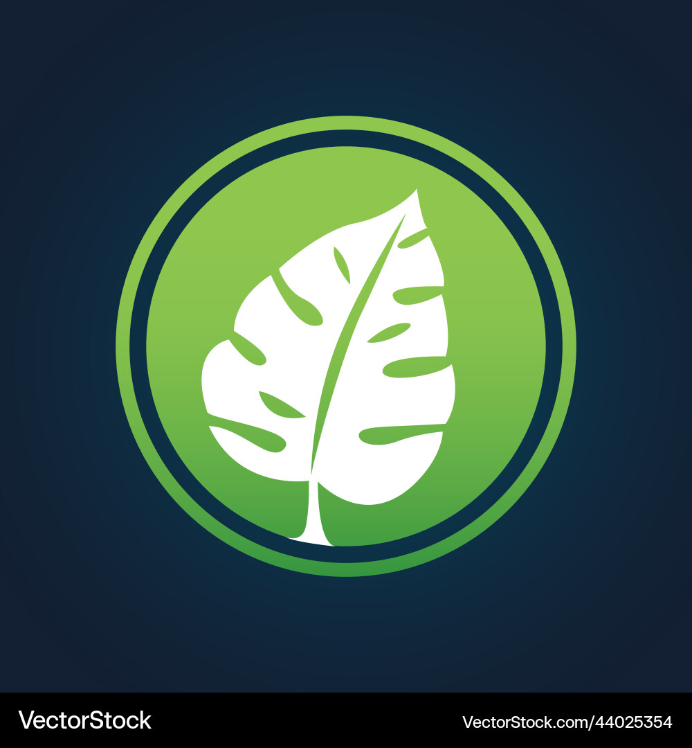 Leaf icon Royalty Free Vector Image - VectorStock