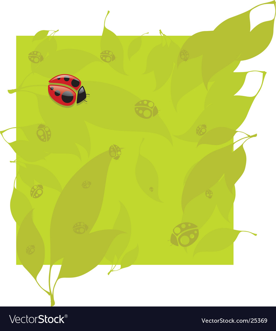 Lady bug pattern Royalty Free Vector Image - VectorStock